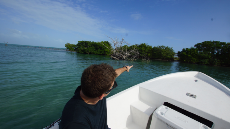 Our New Island: Coffee Caye – Let's Buy An Island